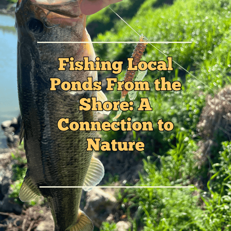 Fishing Local Ponds From the Shore: A Connection to Nature – WM Bayou
