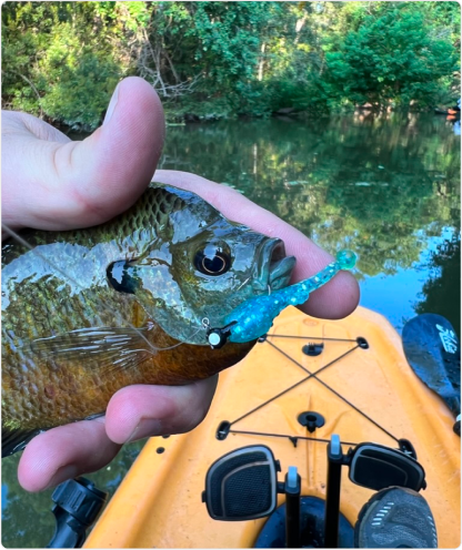 Panfish Lures – WM Bayou