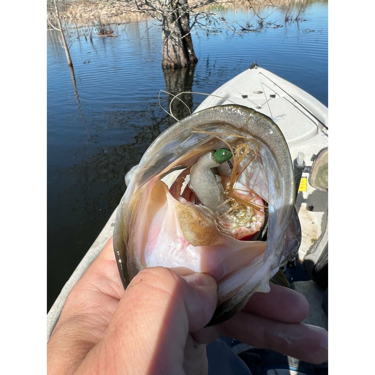 Catch more bass with the Techno frog fishing lure! – WM Bayou